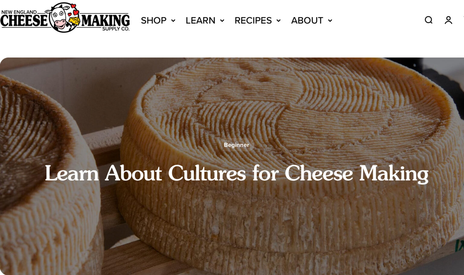 Learn About Cultures for Cheese Making - Irish Dexter Cattlemen