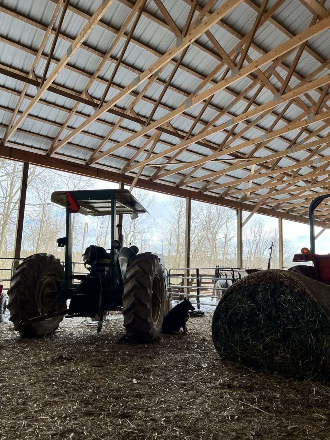 Tips for Small Farm Management - Irish Dexter Cattlemen